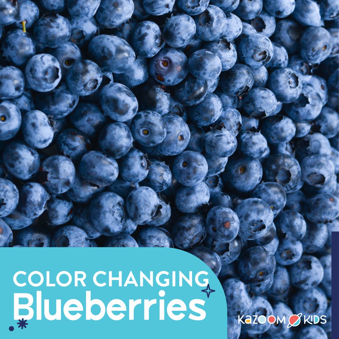 Color Changing Blueberries – Kazoom Kids